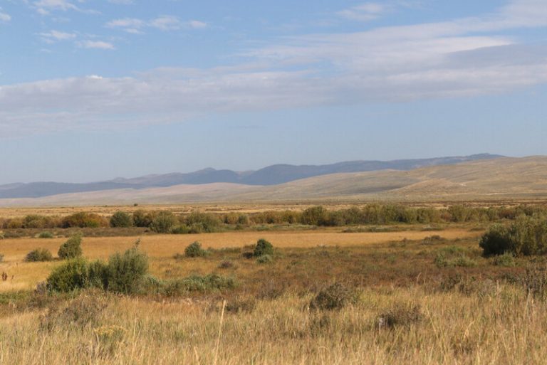 19 Fun Things to Do in Dillon, Montana (+ Free Activities & Tours)