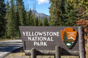 15 Incredible Facts About Yellowstone You Probably Didn't Know ...