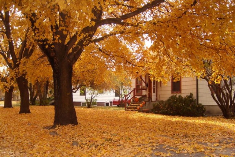 Bozeman, Montana - Discovering Montana