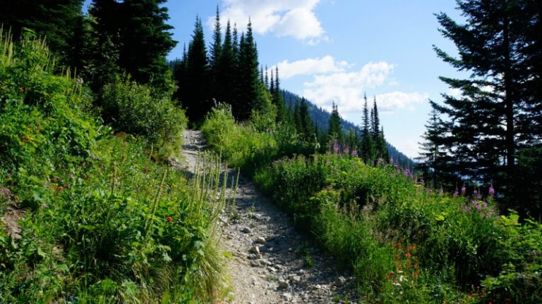 The Best Montana ATV Trails - Discovering Montana
