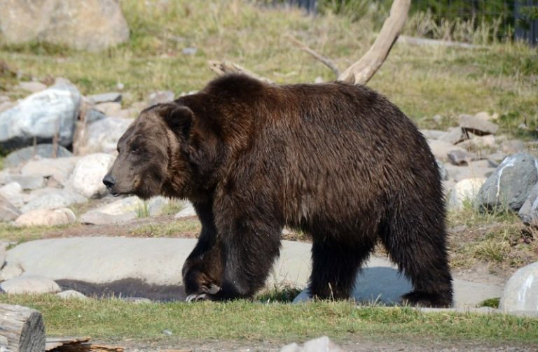 Billings, Montana - Discovering Montana