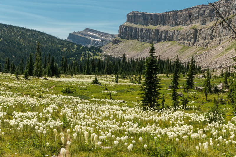 Flathead National Forest, Montana - Discovering Montana