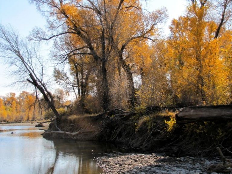 Musselshell County, Montana - Map, Events & Towns in Musselshell County, MT