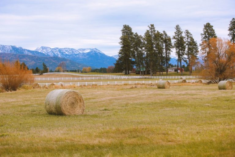 20 Songs About Montana - The State Song, John Denver, Hank Williams Jr ...