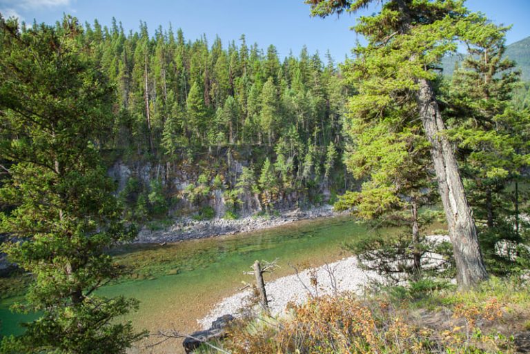 Flathead National Forest, Montana - Discovering Montana
