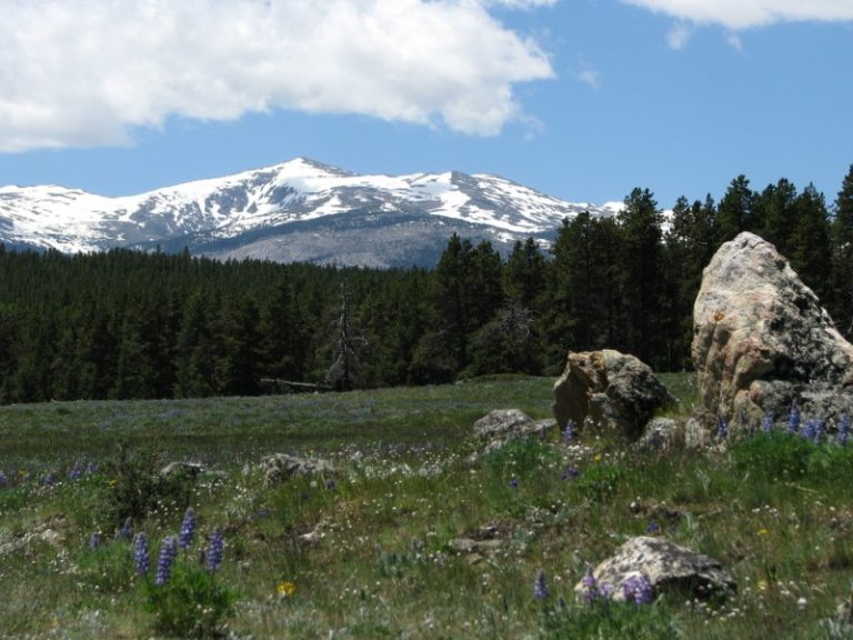 The Bighorn Mountains, Montana - Discovering Montana