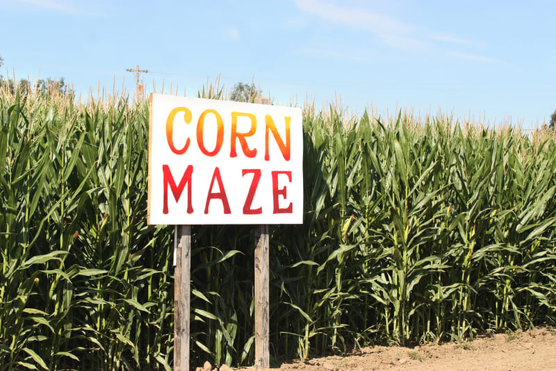 The 8 Best Corn Mazes in Montana - Discovering Montana