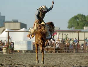 The 10 Best Rodeos in Montana - Discovering Montana