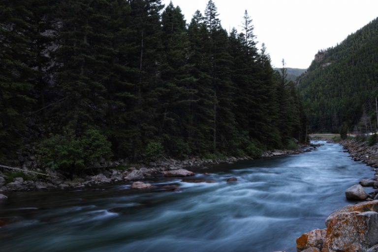 The Gallatin River - A Complete Guide - Discovering Montana