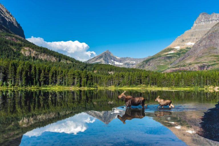 Glacier National Park, Montana - Discovering Montana