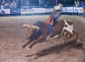 The 10 Best Rodeos in Montana - Discovering Montana