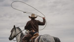 The 10 Best Rodeos in Montana - Discovering Montana