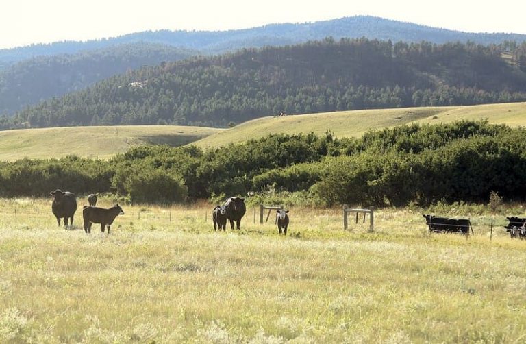 Fort Belknap Indian Reservation, Montana - Discovering Montana