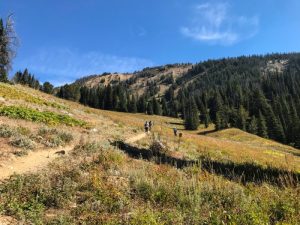 The 8 Prettiest Places in Montana (Plus the Best Gardens) - Discovering ...
