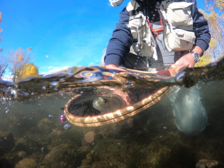 Rexford, Montana - Discovering Montana