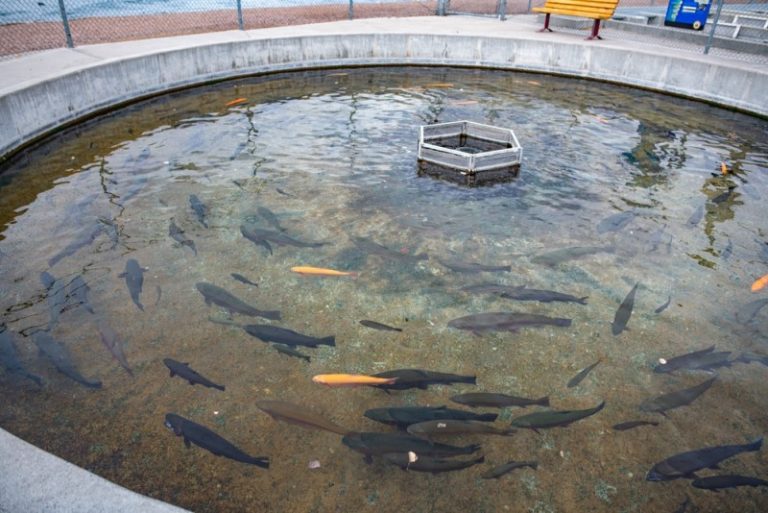 Grass Range, Montana - Discovering Montana