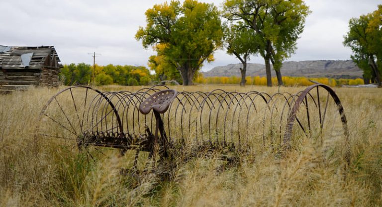 The American Prairie, Montana - Discovering Montana