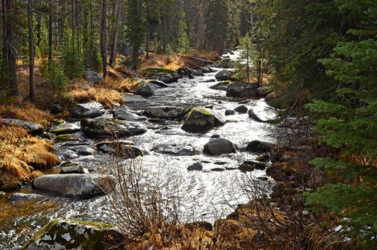 Skalkaho Highway Drive, Ravalli County - Discovering Montana