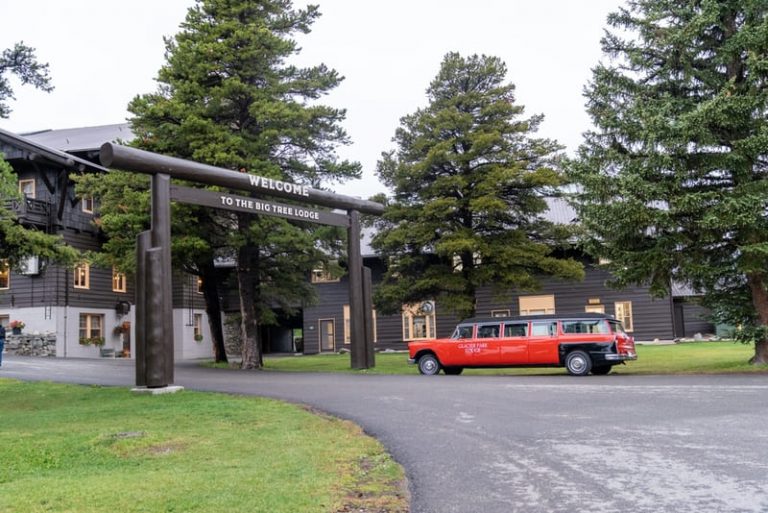 Your Ultimate Guide to Glacier's Red Bus Tours