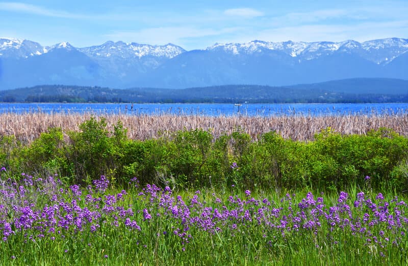 Dean Falls, Flathead County - Discovering Montana