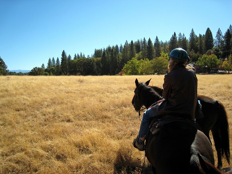 The Best Horseback Riding in Big Sky, Montana - Discovering Montana