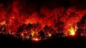 The History of the Great Montana Fires - Discovering Montana