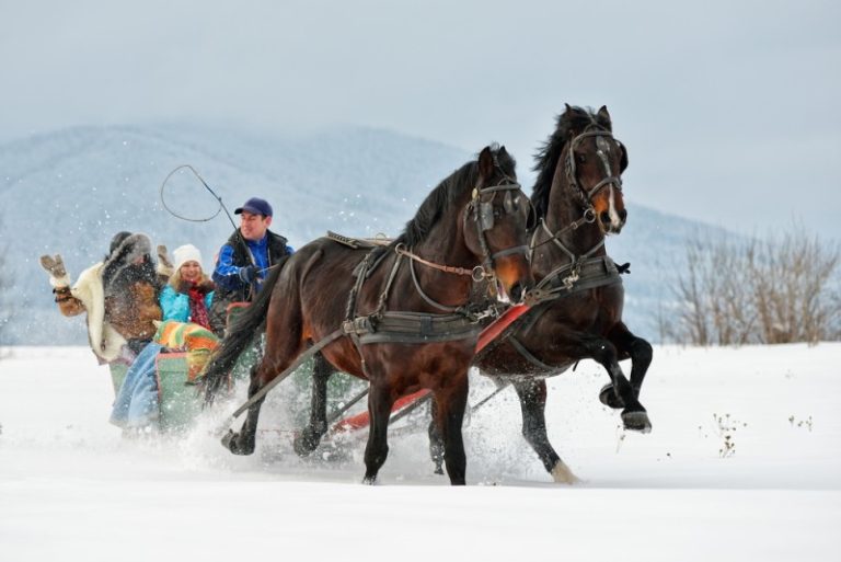 The 7 Best Sleigh Rides in Montana - Discovering Montana