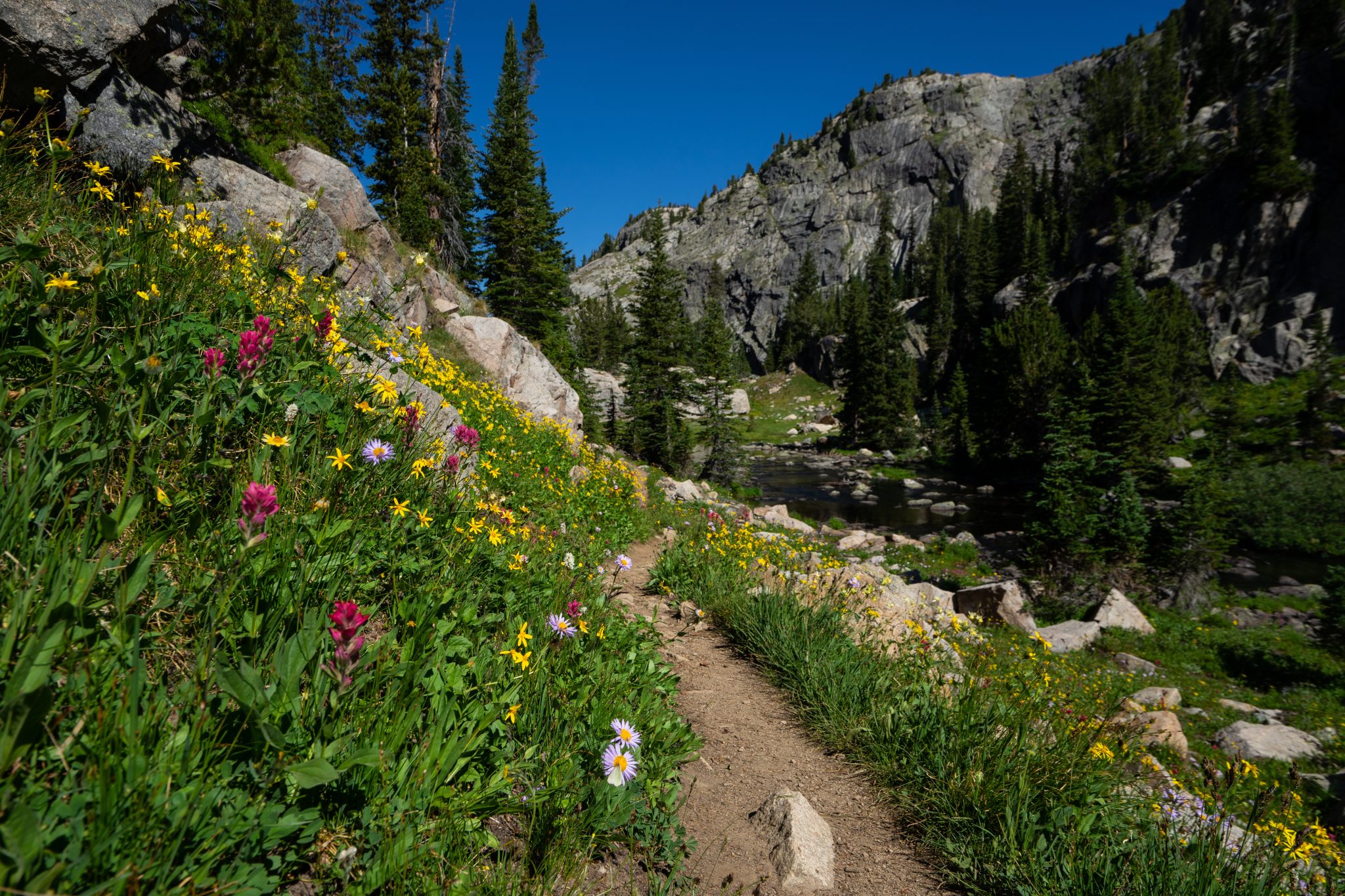 The Top 10 Hiking Trails in Montana - Discovering Montana