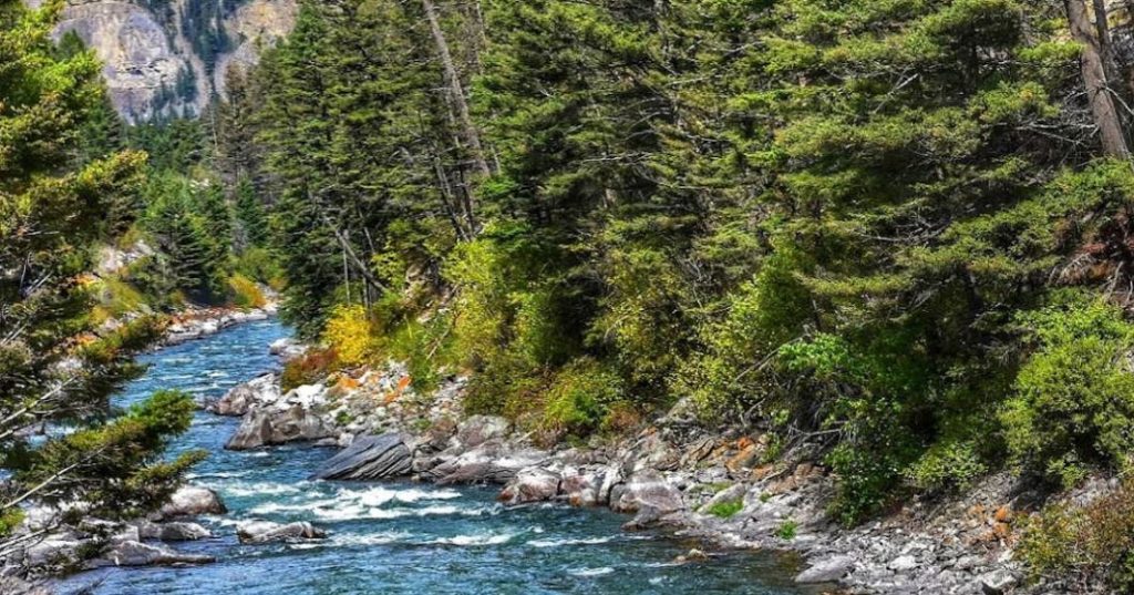 Unforgettable Summer Adventures in Bozeman, Montana