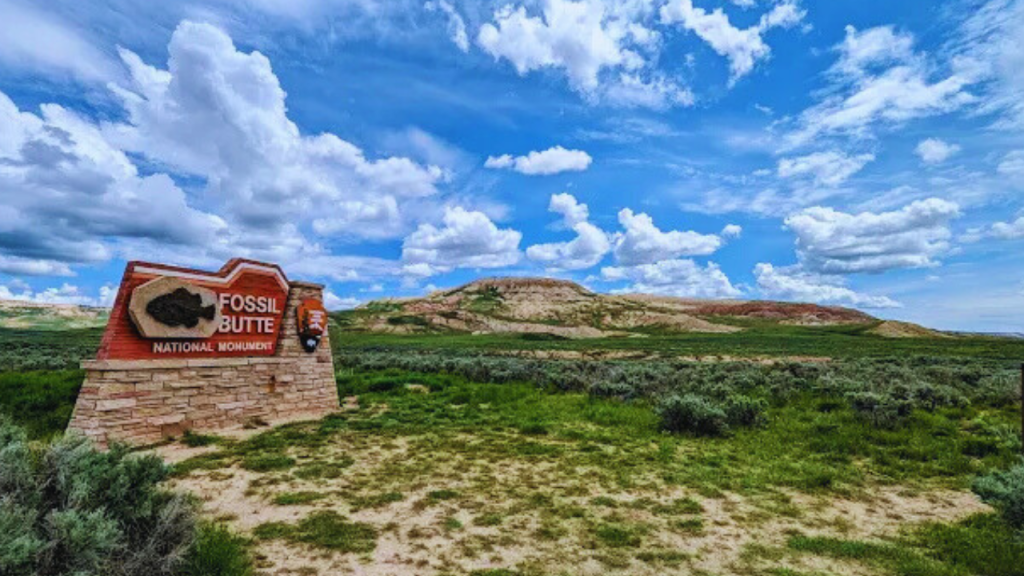A Guide to Wyoming’s National Parks: Must-See Destinations ...